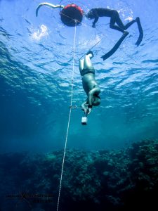 Variable Weight Specialty Freediving Course | Freedive Dahab